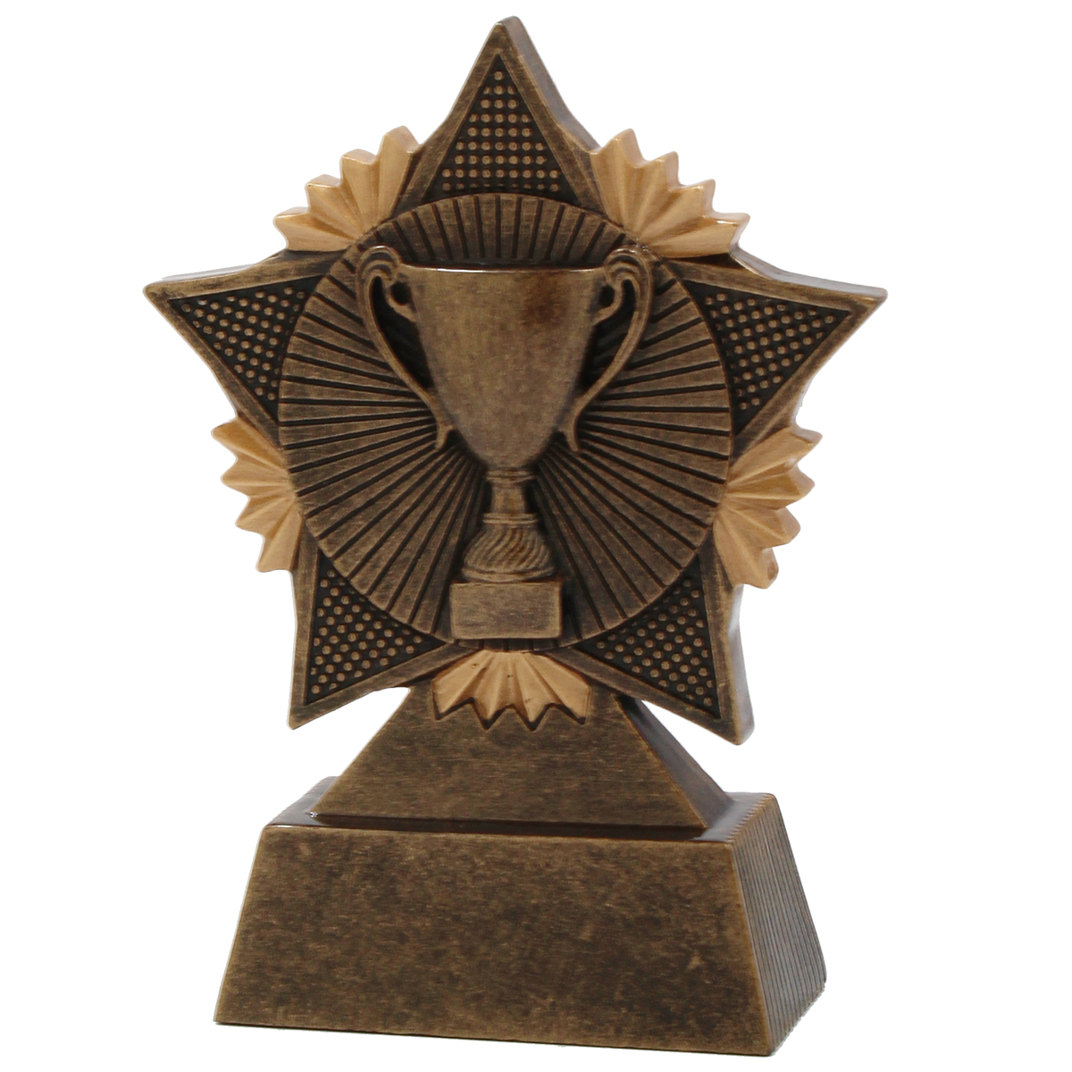 Beeld Ster trofee kopen? | Budgettrophy