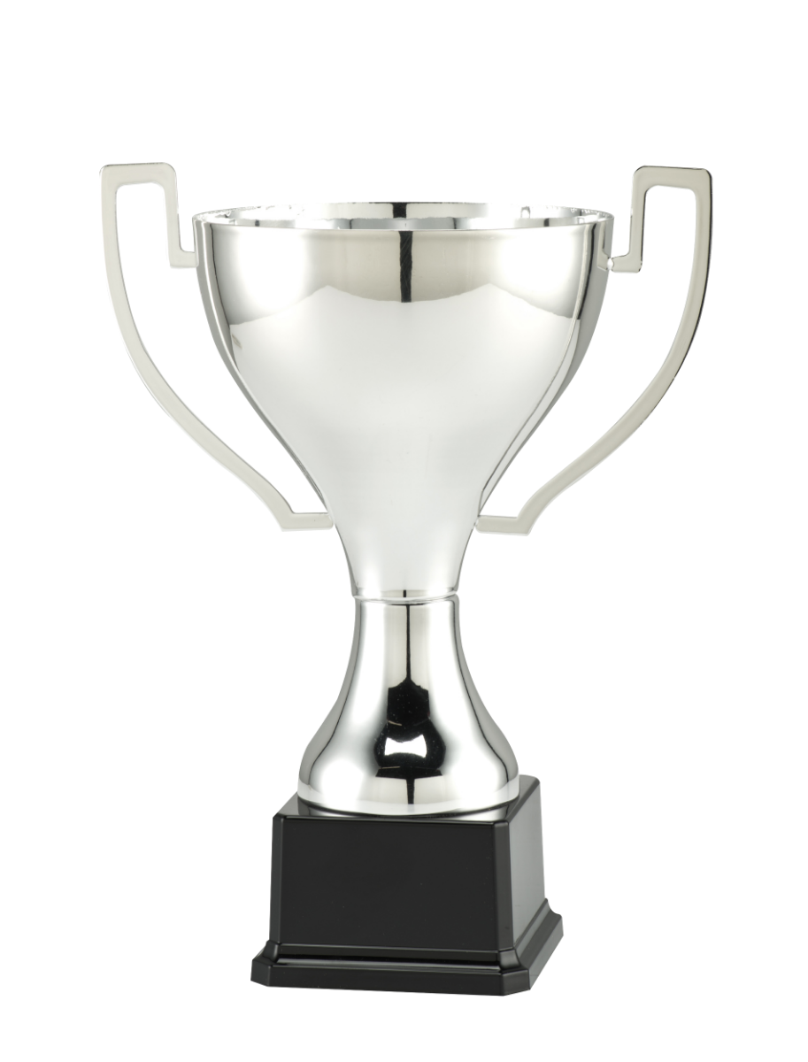Silver Georgia trophy - in three sizes (21-35 cm) | Budgettrophy