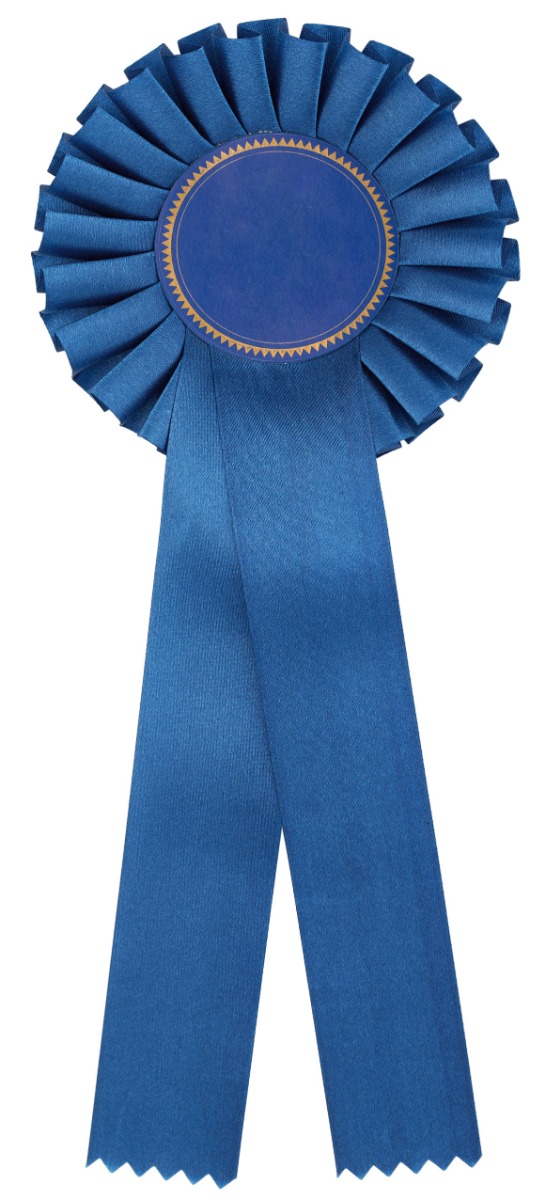 Rosette blue | Budgettrophy