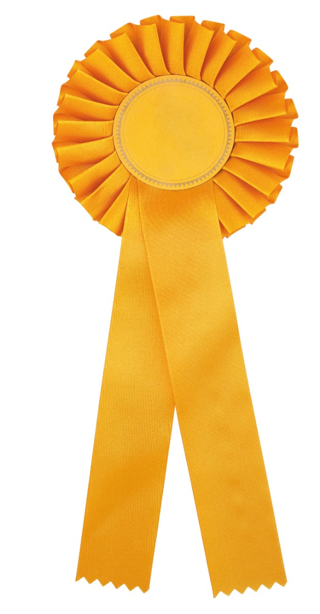 Rosette yellow | Budgettrophy