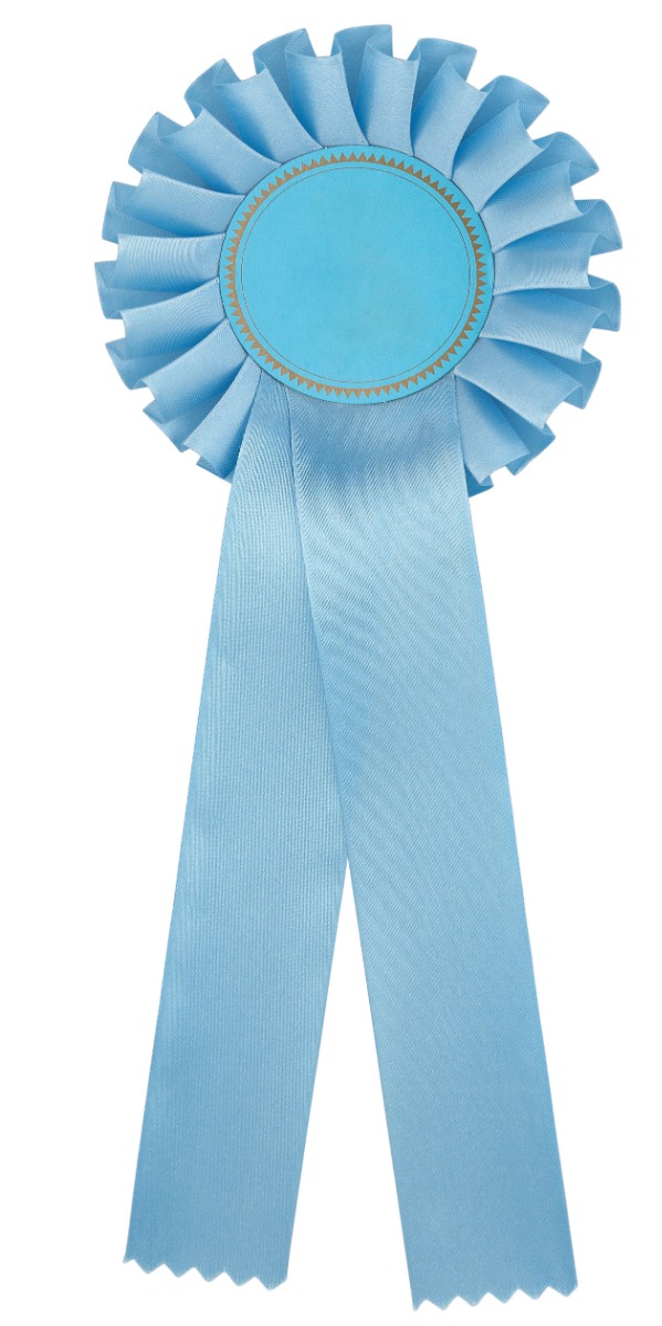 Rosette light blue | Budgettrophy