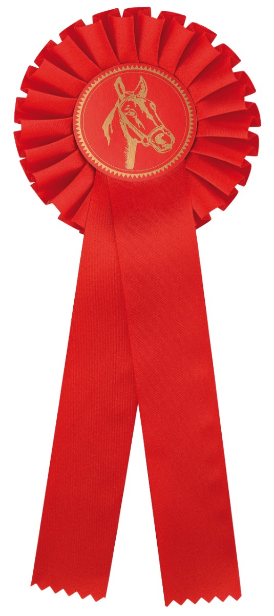 Rosette horse red | Budgettrophy