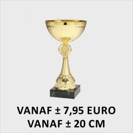 Een trofee personaliseren doe je bij Budgettrophy 🏆! | Budgettrophy