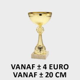 Een trofee personaliseren doe je bij Budgettrophy 🏆! | Budgettrophy
