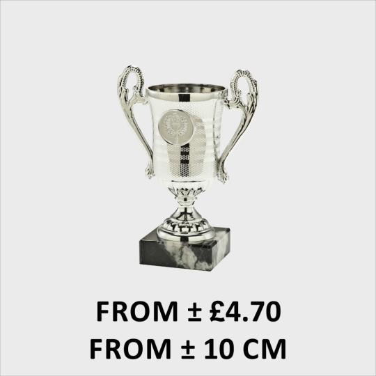 Personalised trophies at Budgettrophy 🏆 | Budgettrophy