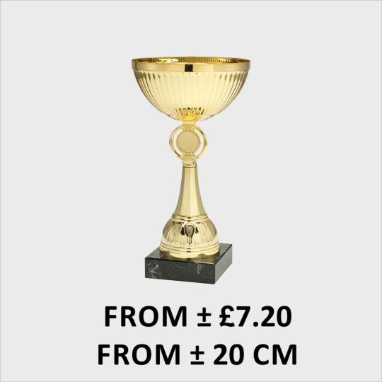 Personalised trophies at Budgettrophy 🏆 | Budgettrophy