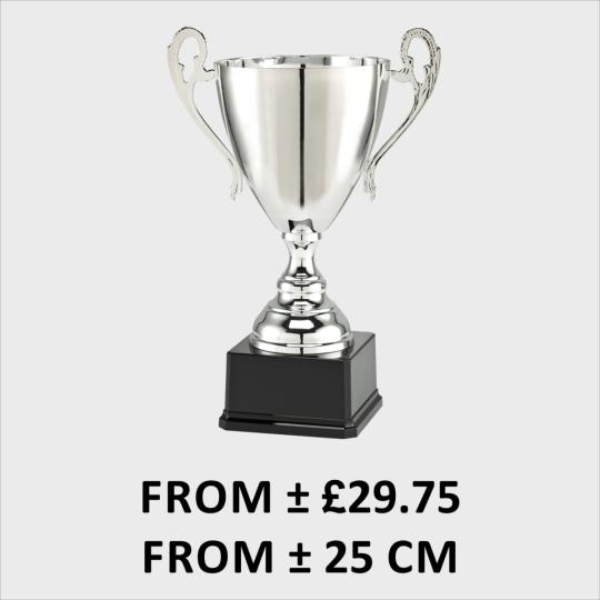 Personalised trophies at Budgettrophy 🏆 | Budgettrophy