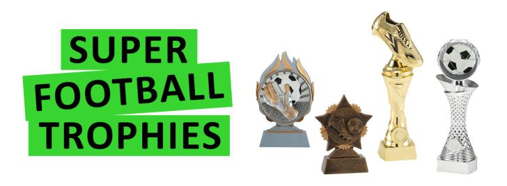 Looking for budget trophies? | Budgettrophy